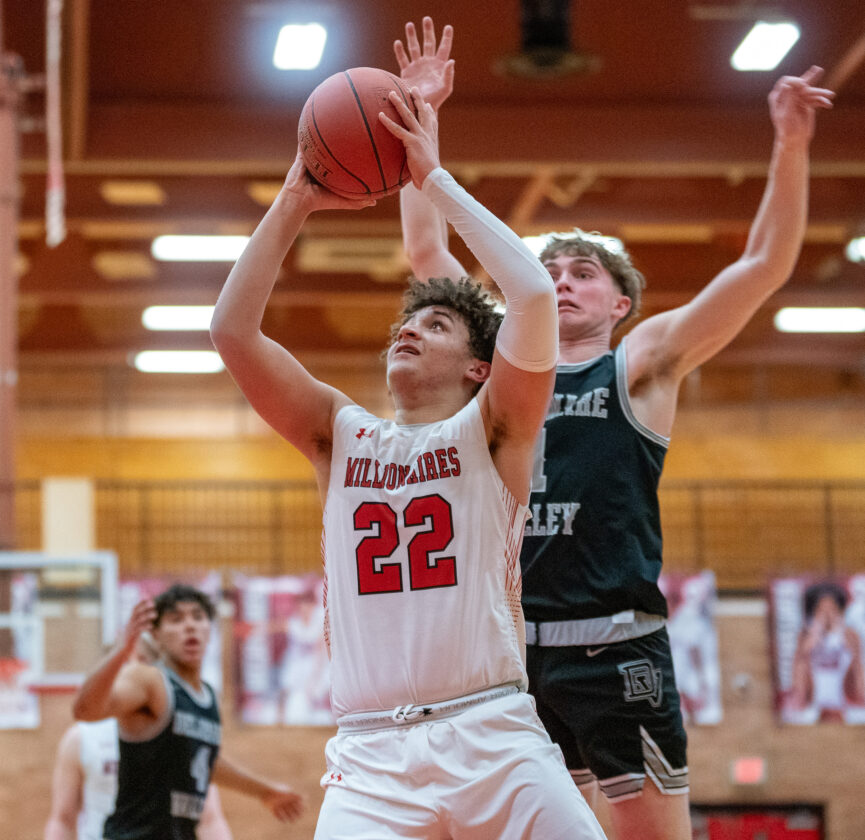 Williamsport boys defeat Delaware Valley in district playoffs in final ...